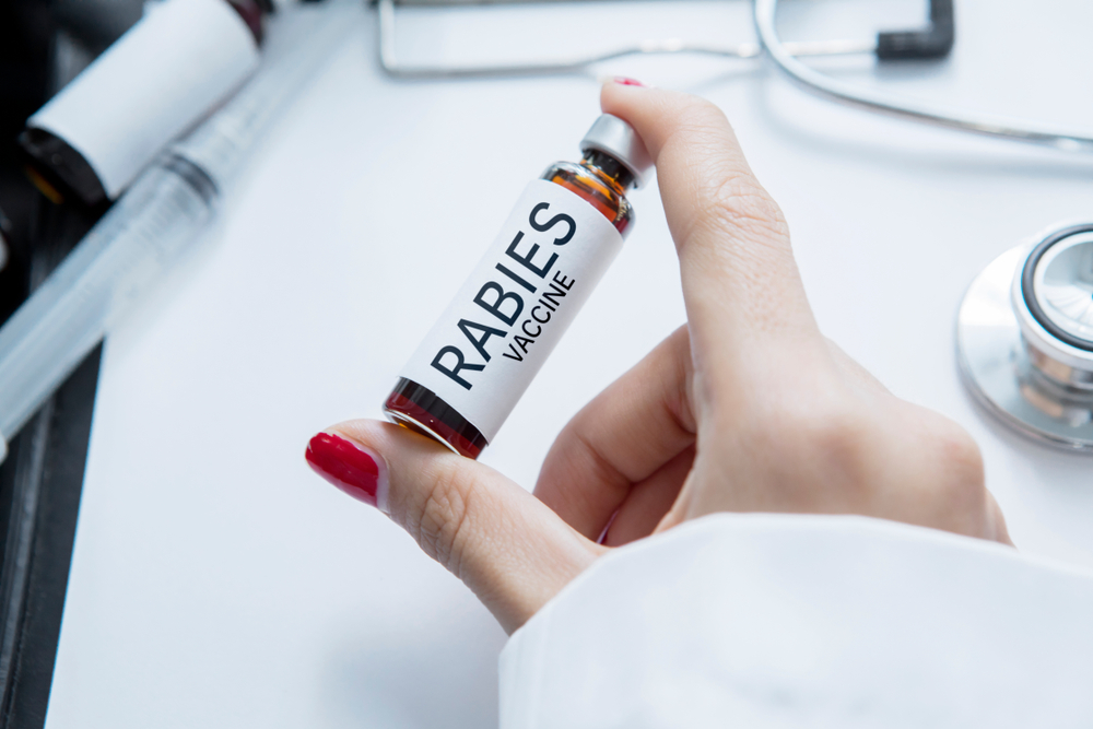 What is Rabies: Unravelling the Deadly Virus and Its Impact on Humans ...