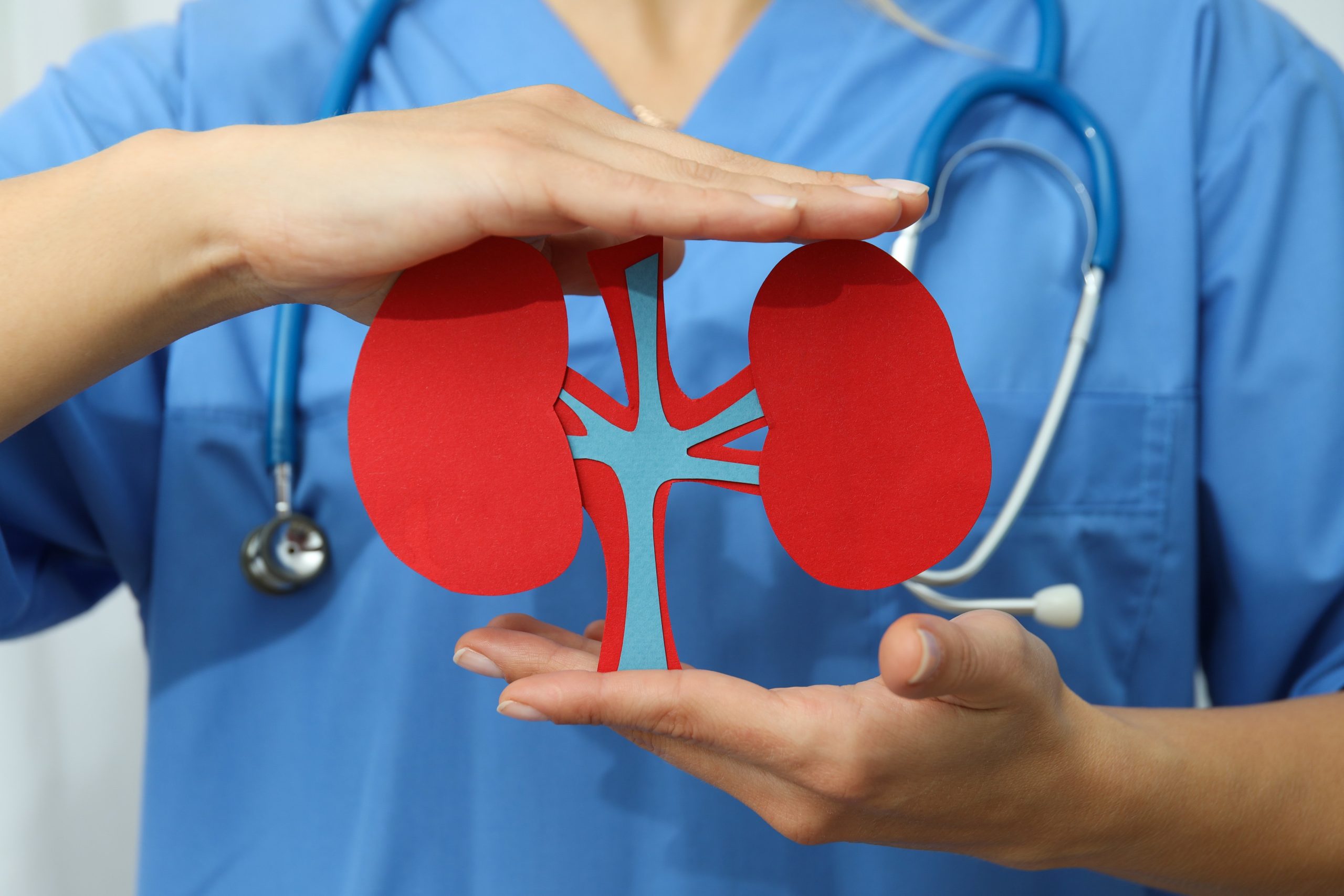10 Signs You Should Get a Kidney Function Test